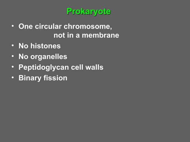 Prokaryotic & eukaryotic cells 3 | PPT
