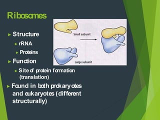 prokaryotic & eukaryoticcells-Structure and Function.pptx