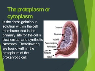 prokaryotic & eukaryoticcells-Structure and Function.pptx