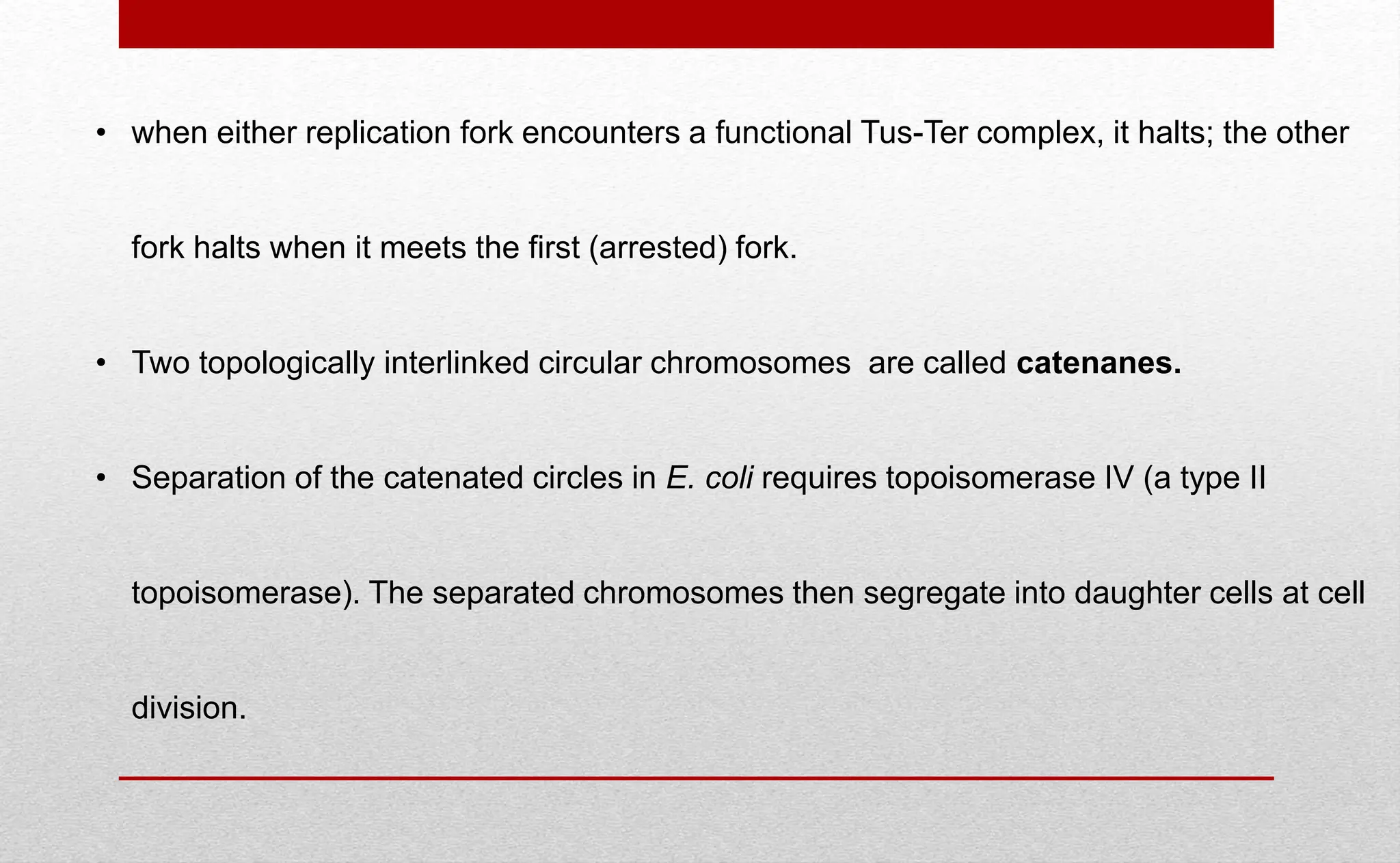 Prokaryotic & Eukaryotic Replication.pptx
