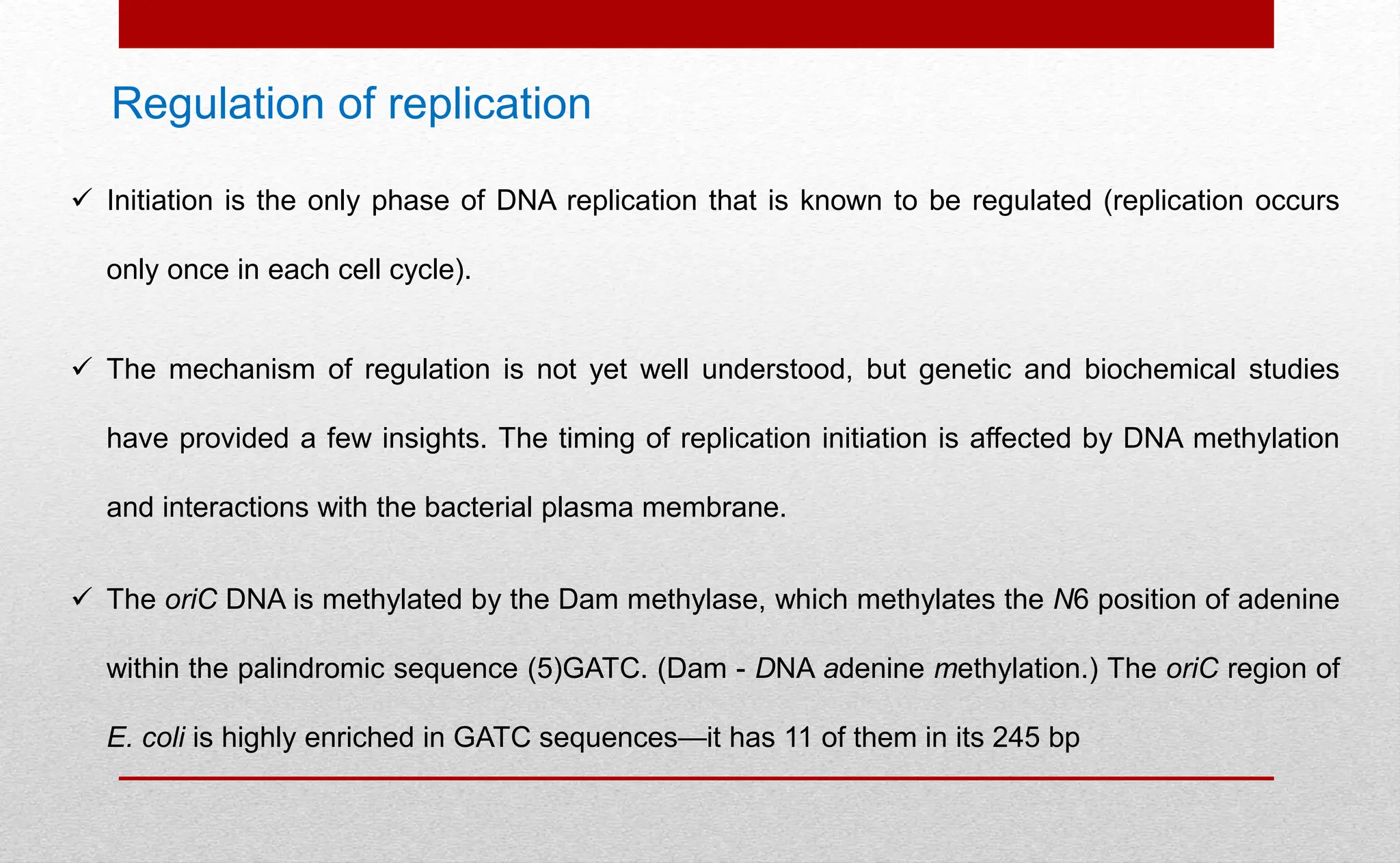 Prokaryotic & Eukaryotic Replication.pptx