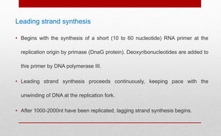 Prokaryotic & Eukaryotic Replication.pptx