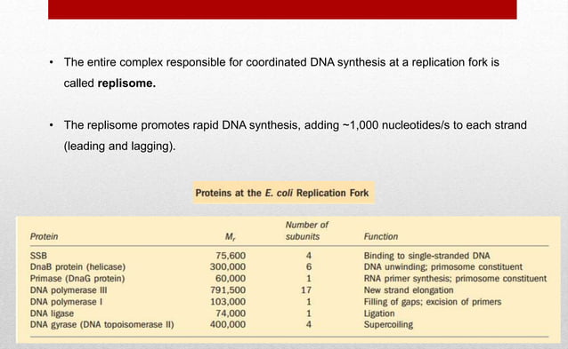 Prokaryotic & Eukaryotic Replication.pptx