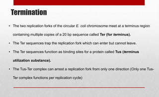 Prokaryotic & Eukaryotic Replication.pptx