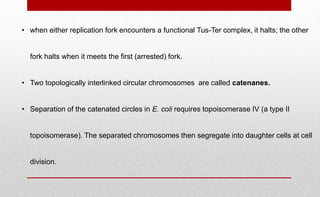 Prokaryotic & Eukaryotic Replication.pptx