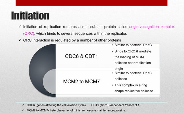 Prokaryotic & Eukaryotic Replication.pptx
