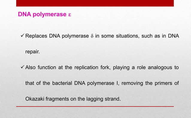 Prokaryotic & Eukaryotic Replication.pptx