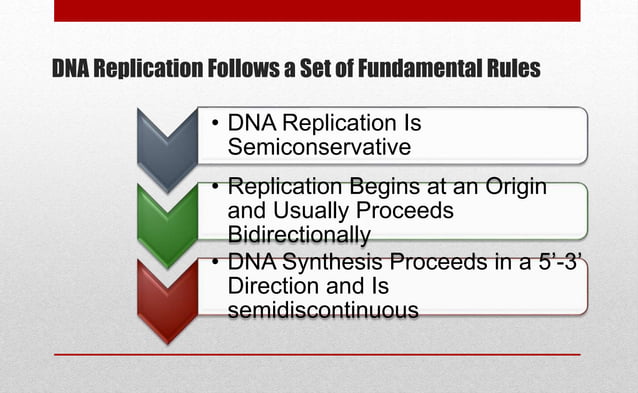 Prokaryotic & Eukaryotic Replication.pptx