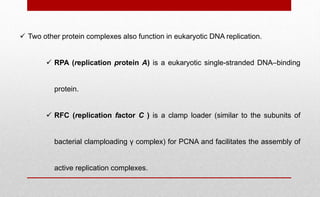Prokaryotic & Eukaryotic Replication.pptx