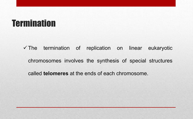 Prokaryotic & Eukaryotic Replication.pptx