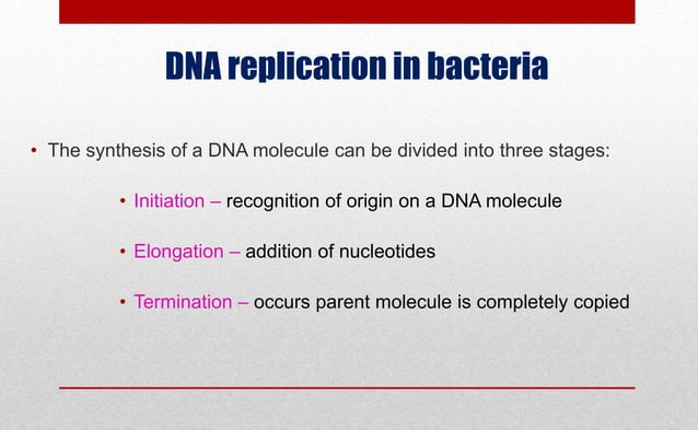 Prokaryotic & Eukaryotic Replication.pptx