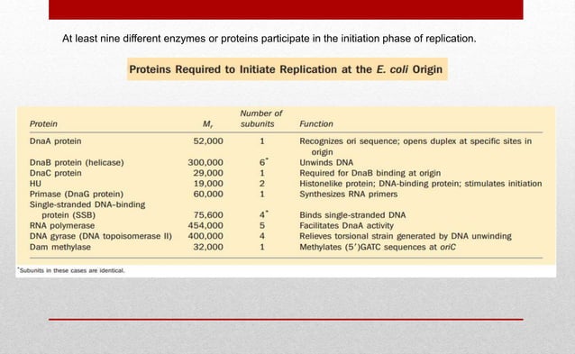 Prokaryotic & Eukaryotic Replication.pptx