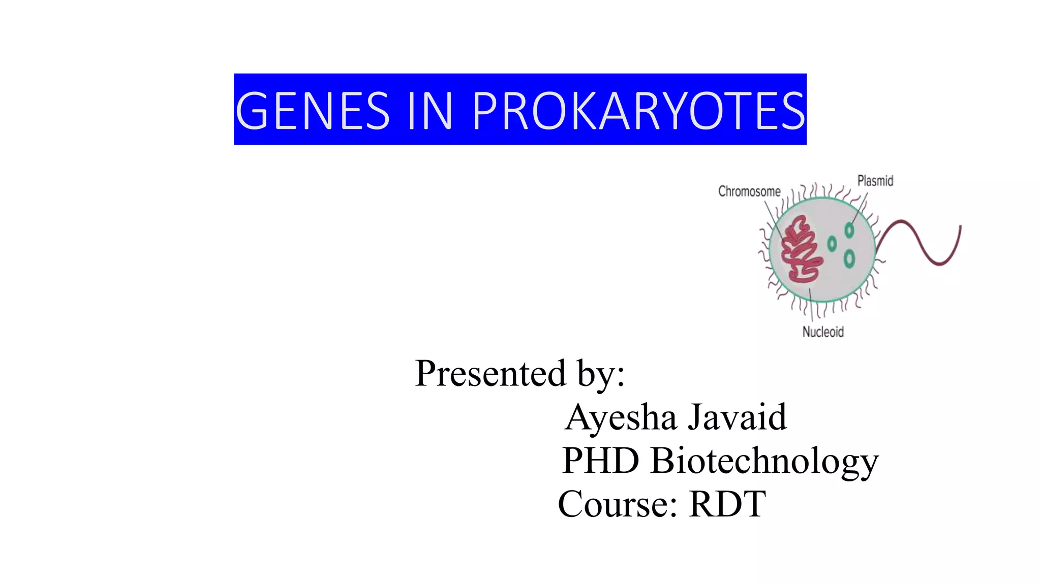 PROKARYOTIC GENE.pptx