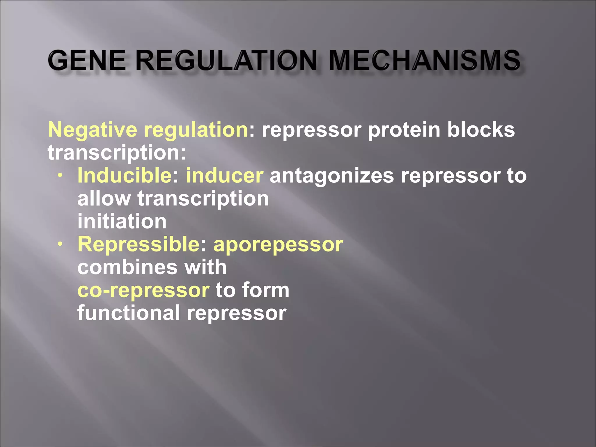 Prokaryotic gene regulation | PPT