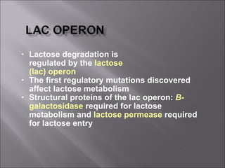 Prokaryotic gene regulation | PPT