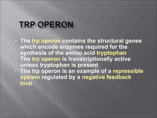 Prokaryotic gene regulation | PPT