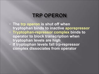 Prokaryotic gene regulation | PPT
