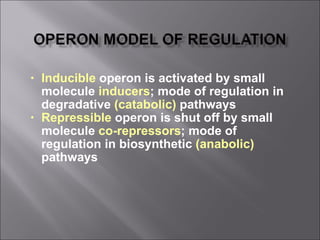 Prokaryotic gene regulation | PPT