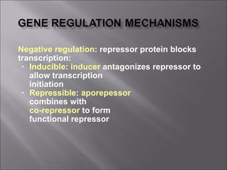 Prokaryotic gene regulation | PPT