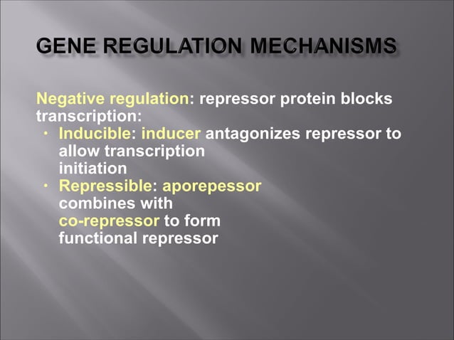 Prokaryotic gene regulation | PPT | Genetics | Science