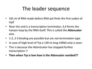 Prokaryotic gene regulation- Lecture 4.pptx