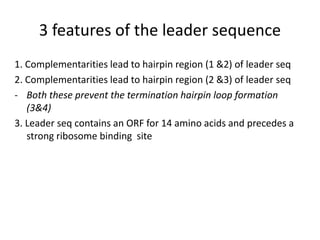 Prokaryotic gene regulation- Lecture 4.pptx