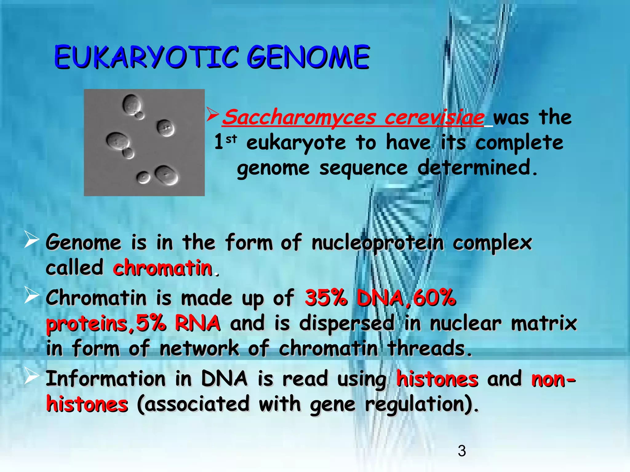 Prokaryotic and eukaryotic genome | PPT