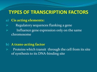 Prokaryotic regulation | PPTX | Chemistry | Science
