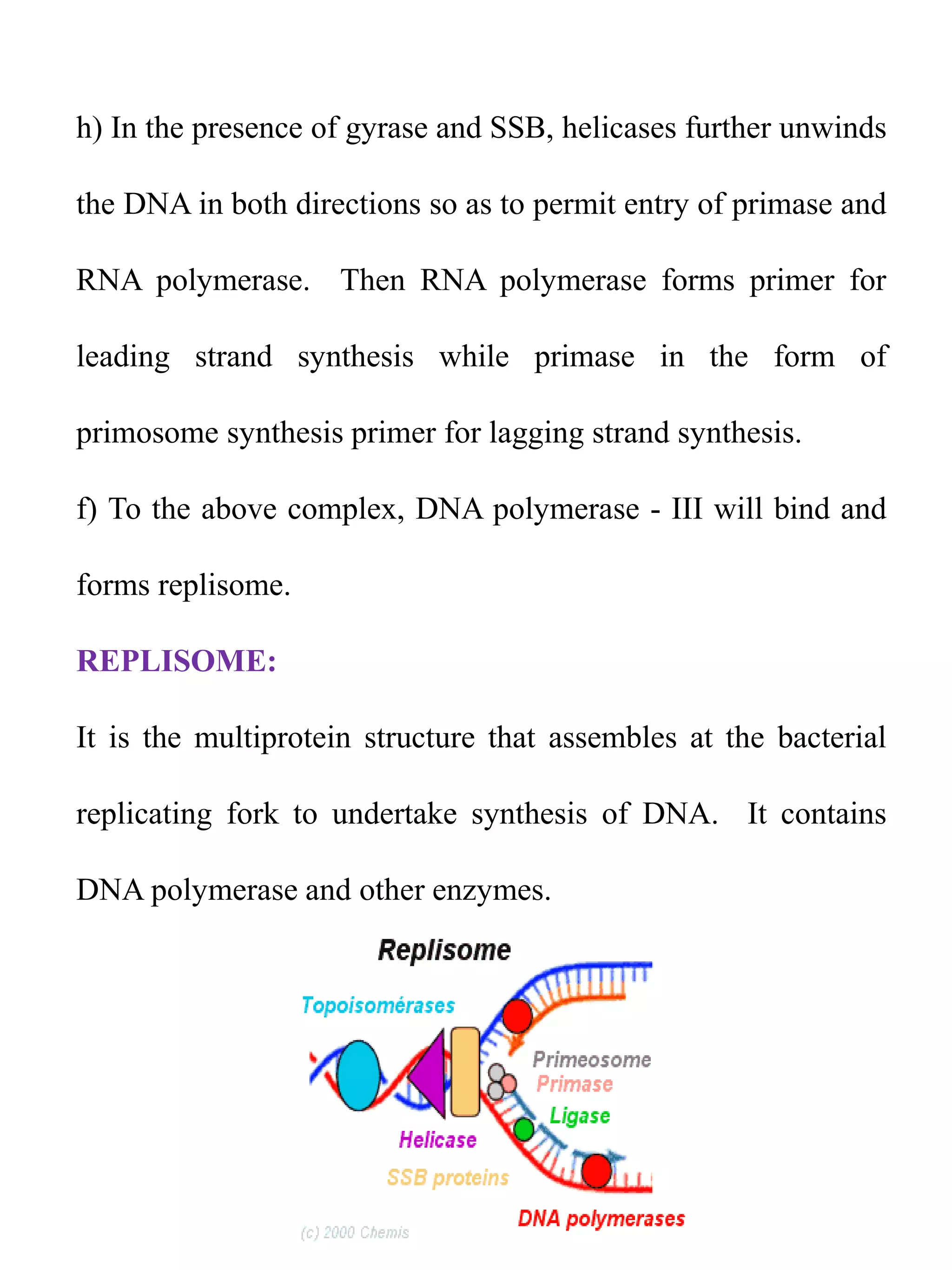 Prokaryotic replication | PPTX