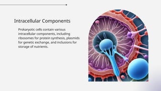 prokaryotic structure and function ppt-1.pptx
