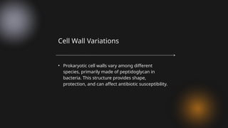 prokaryotic structure and function ppt-1.pptx