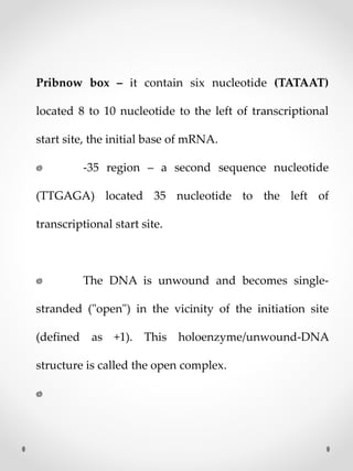 Prokaryotic transcription | PPTX