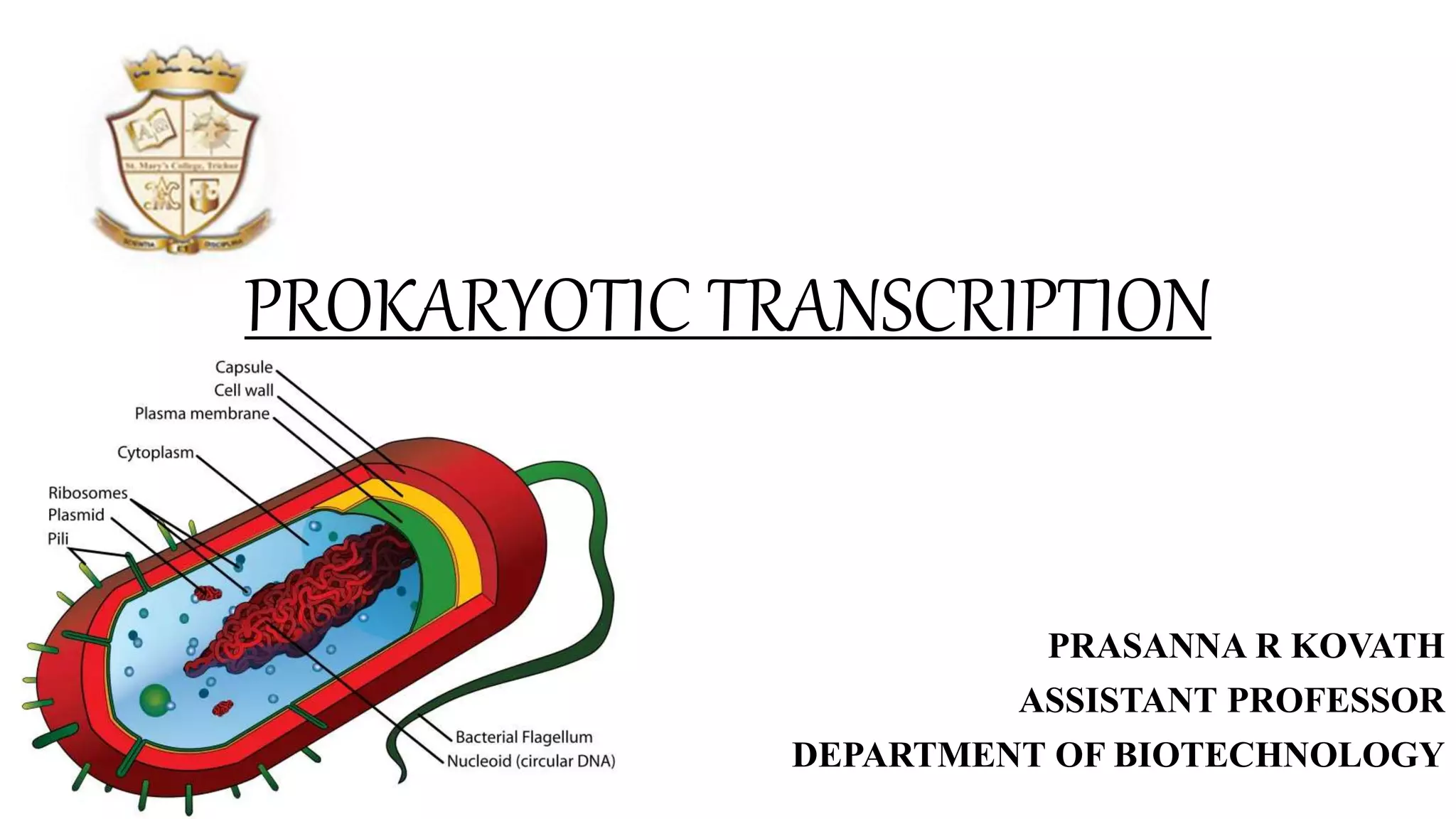 Prokaryotic transcription | PPTX
