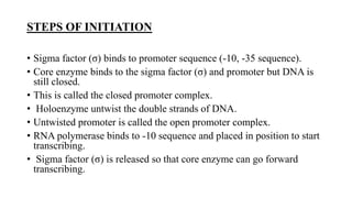 Prokaryotic transcription | PPTX