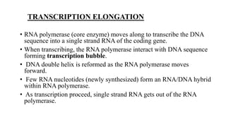 Prokaryotic transcription | PPTX