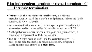 Prokaryotic transcription | PPTX | Chemistry | Science