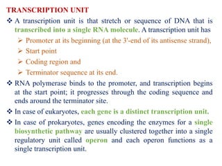 Prokaryotic transcription | PDF