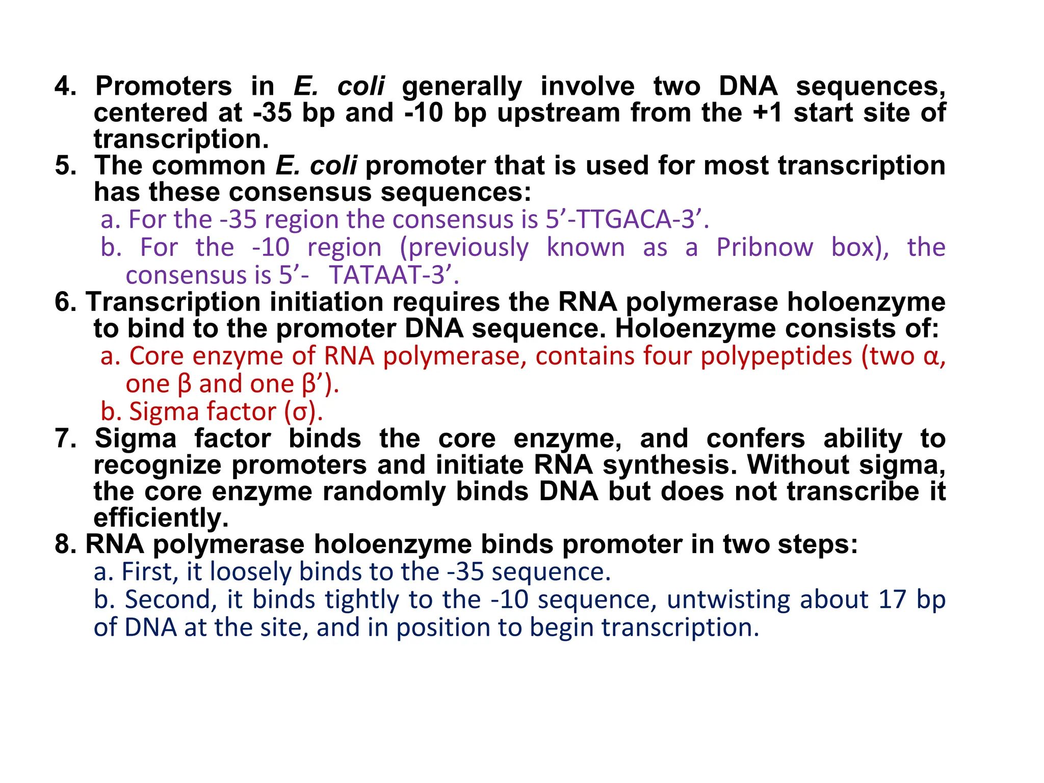 Prokaryotic Transcription Presentation.pptx