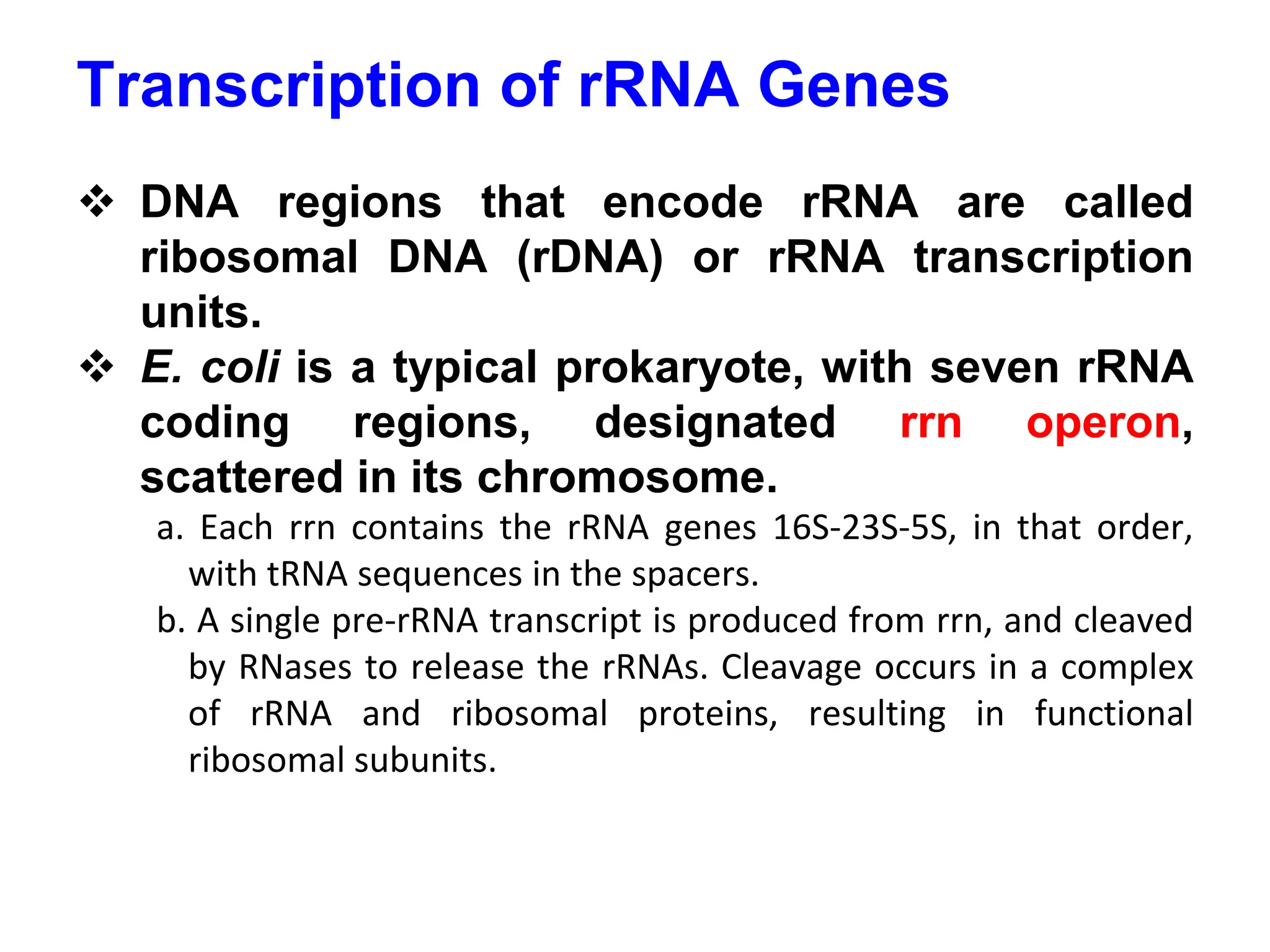 Prokaryotic Transcription Presentation.pptx