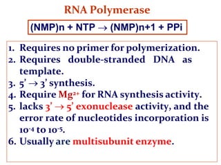 Prokaryotic Transcription Presentation.pptx