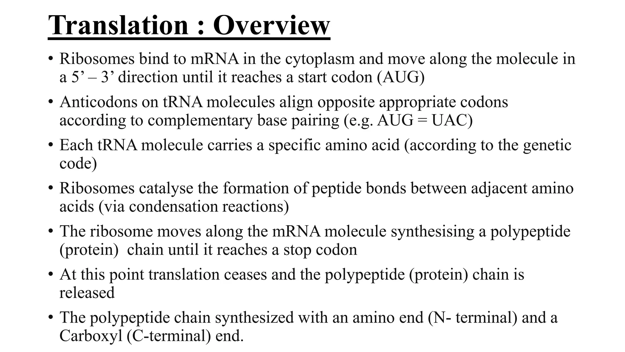 Prokaryotic translation | PPTX