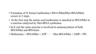 Prokaryotic translation | PPTX