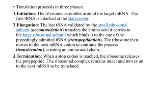 Prokaryotic translation | PPTX