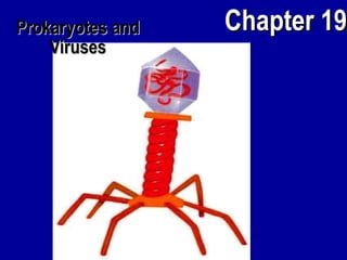 Prokaryotic viral replication.ppt about the | PPT