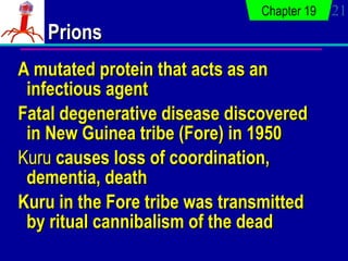 Prokaryotic viral replication.ppt about the | PPT