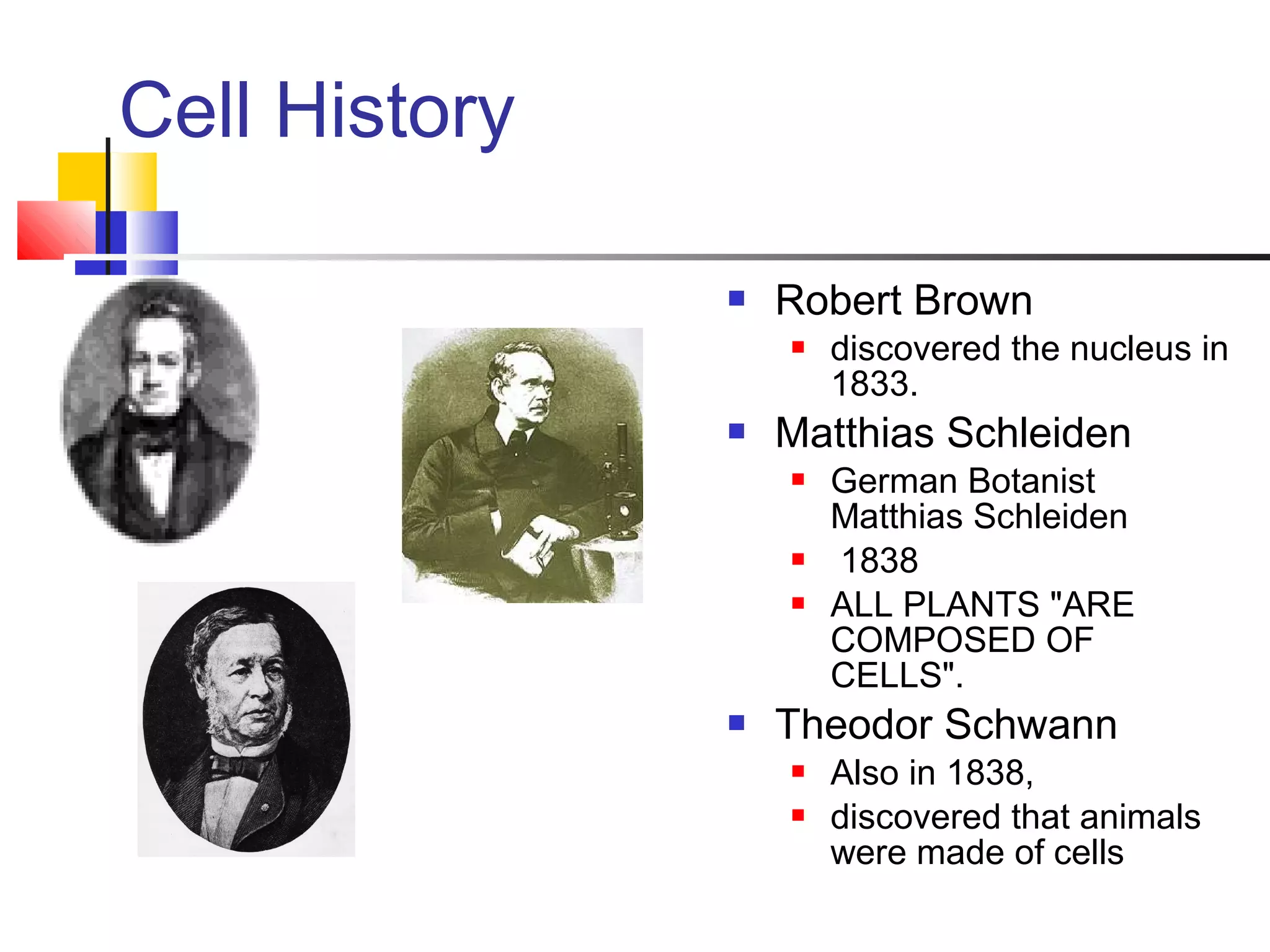 Prokaryotic Vs Eukaryotic Cells Ppt 