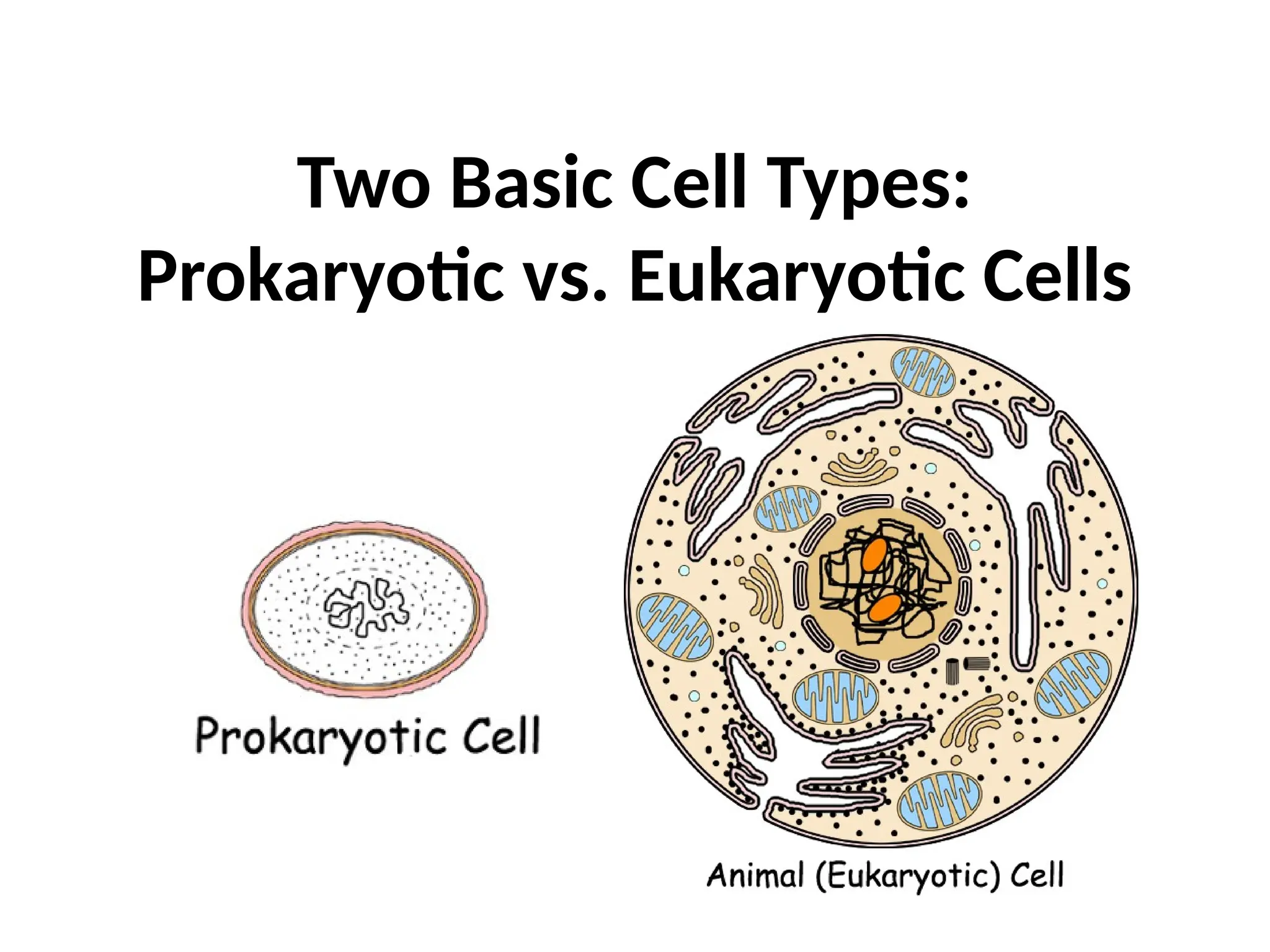 prokaryotic_vs_eukaryotic_cells_ppt.pptx