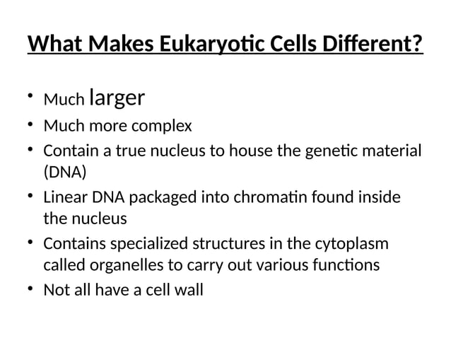 prokaryotic_vs_eukaryotic_cells_ppt.pptx