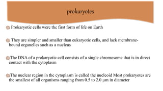 Prokayotes and eukaryotes | PPT