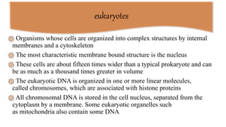 Prokayotes and eukaryotes | PPT